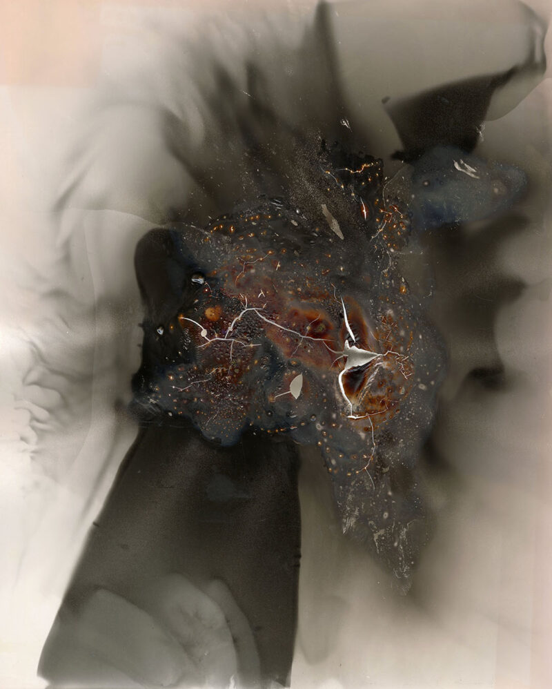 The Image of All Matter: Alchemical Methodology in the Photograms of ...
